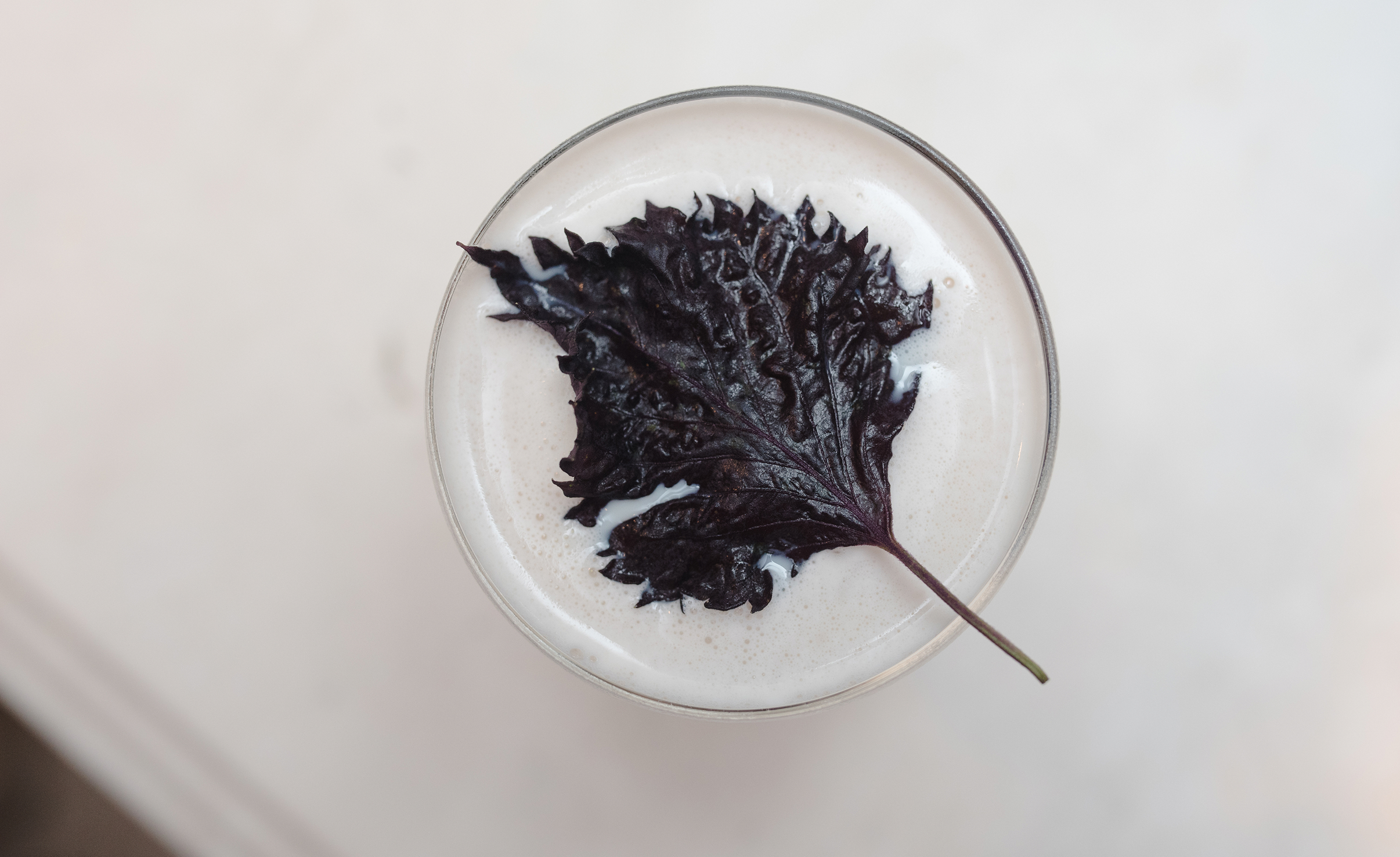 Dairy Cream Liqueurs - v2 - Creamy Creation